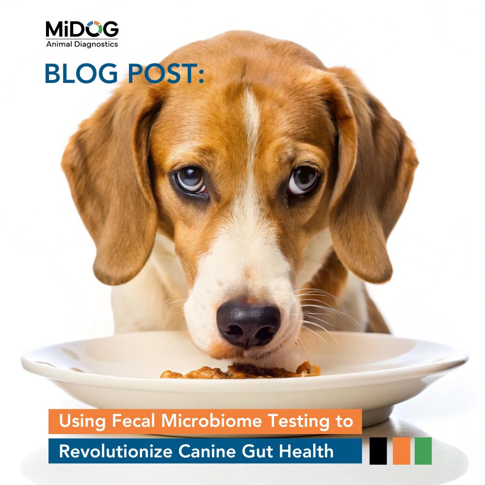 Using Fecal Microbiome Testing to Revolutionize Canine Gut Health ...