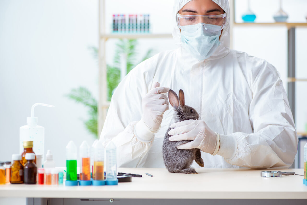 Lab Animals Diagnostics - Midog Testing